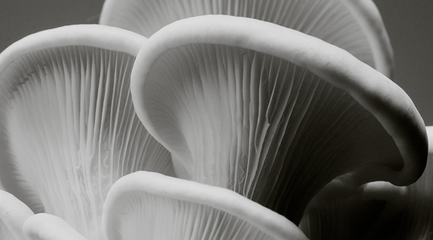 Is Your Skincare as Ethical, Sustainable and Revolutionary as ...