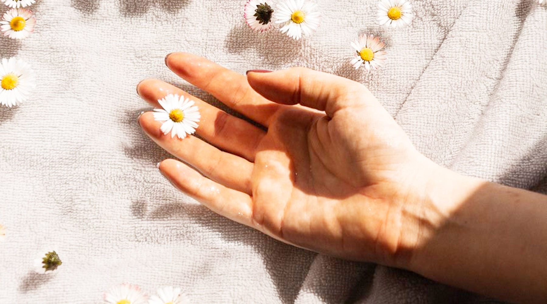 Clean Beauty and Biotechnology | Aesthetics Rx®